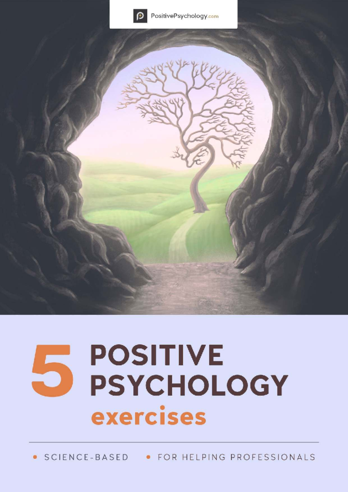 PositivePsychology.com Toolkit: Core Beliefs & Happiness Exercises ...