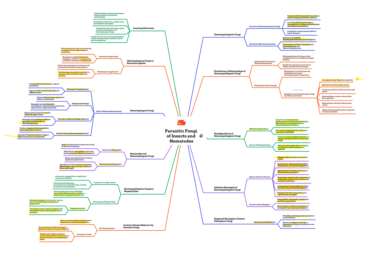 SU 14 - Mind maps - Parasitic Fungi of Insects and Nematodes ...