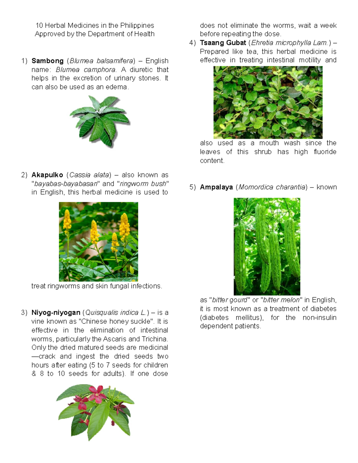 Herbal Medicines in the Philippines Approved by DOH: A Comprehensive ...