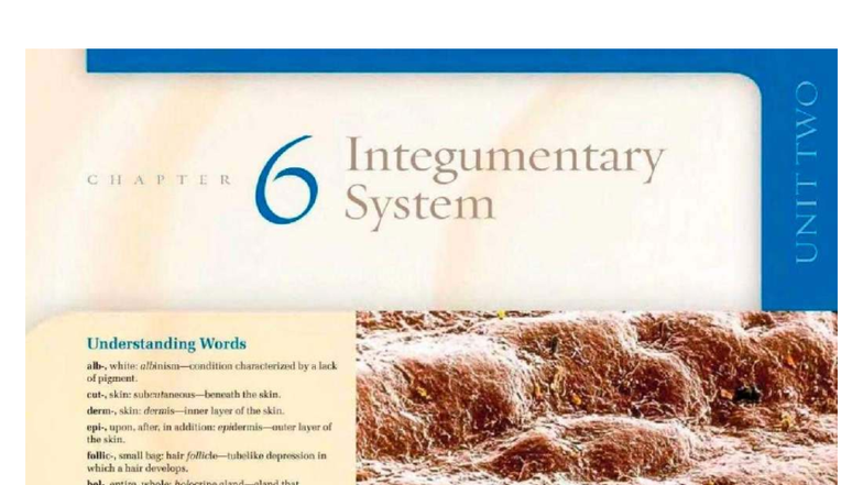 Chapter 6: Integumentary System Overview and Key Concepts - Studocu