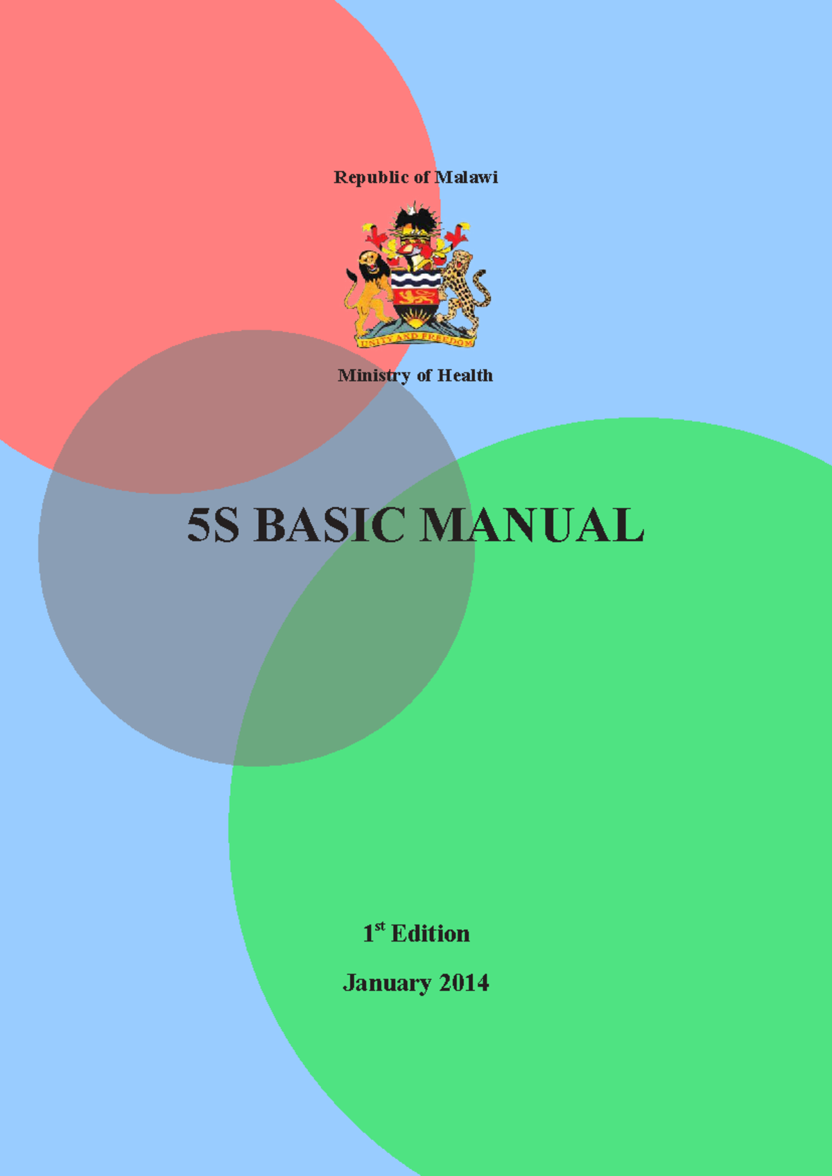 5S Manual 1681458800: Principles and Implementation for Healthcare ...