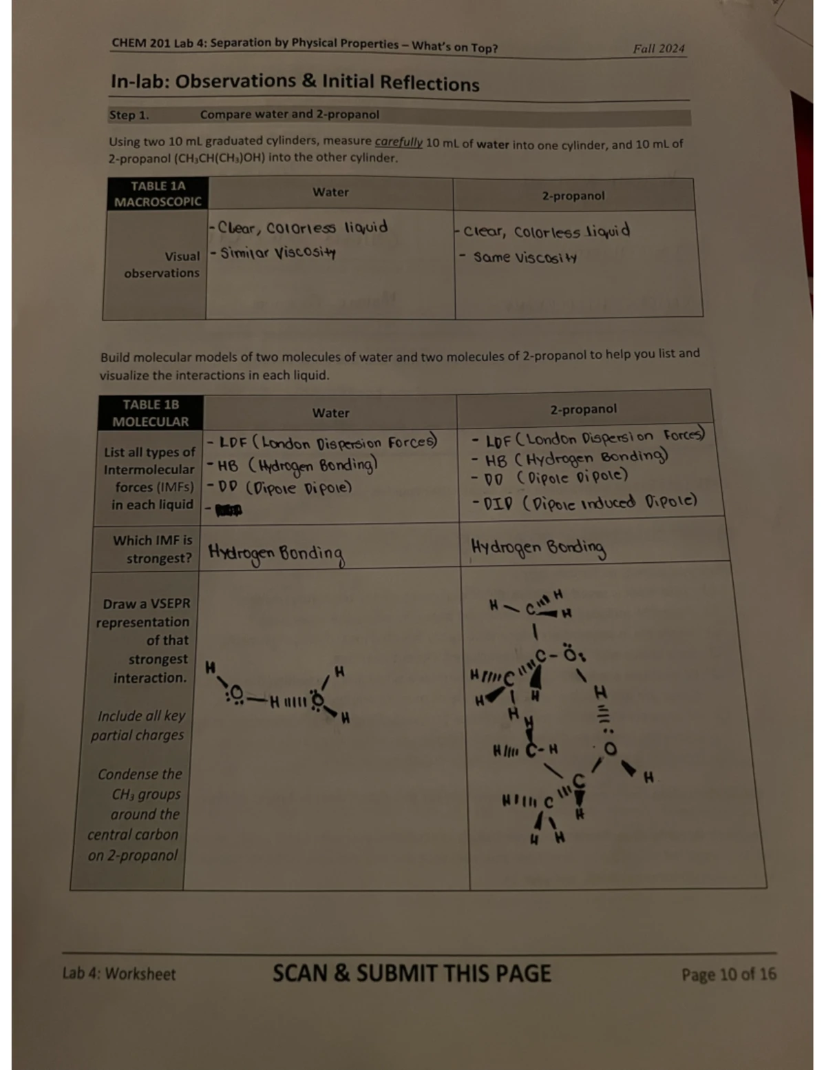 CHEM 203 Lab 1: Foundational Skills Activity Worksheet - Fall 2024 ...