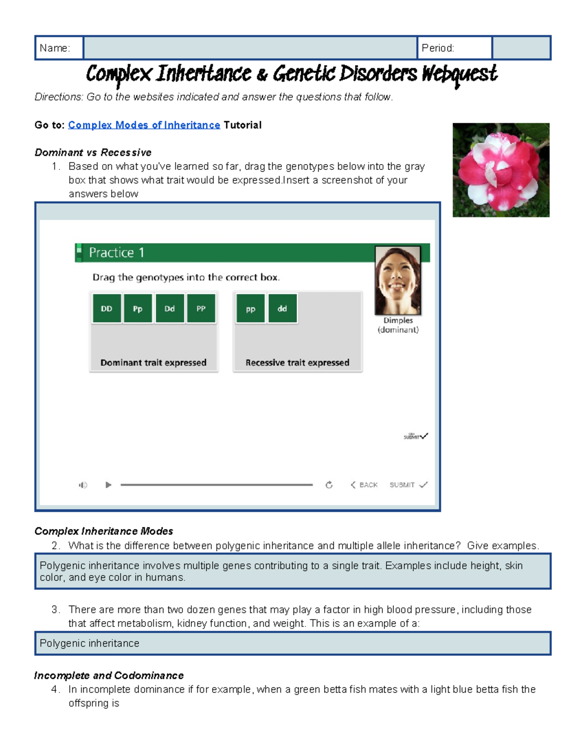 Complex Inheritance & Genetic Disorders Webquest (Bio 101) - Studocu