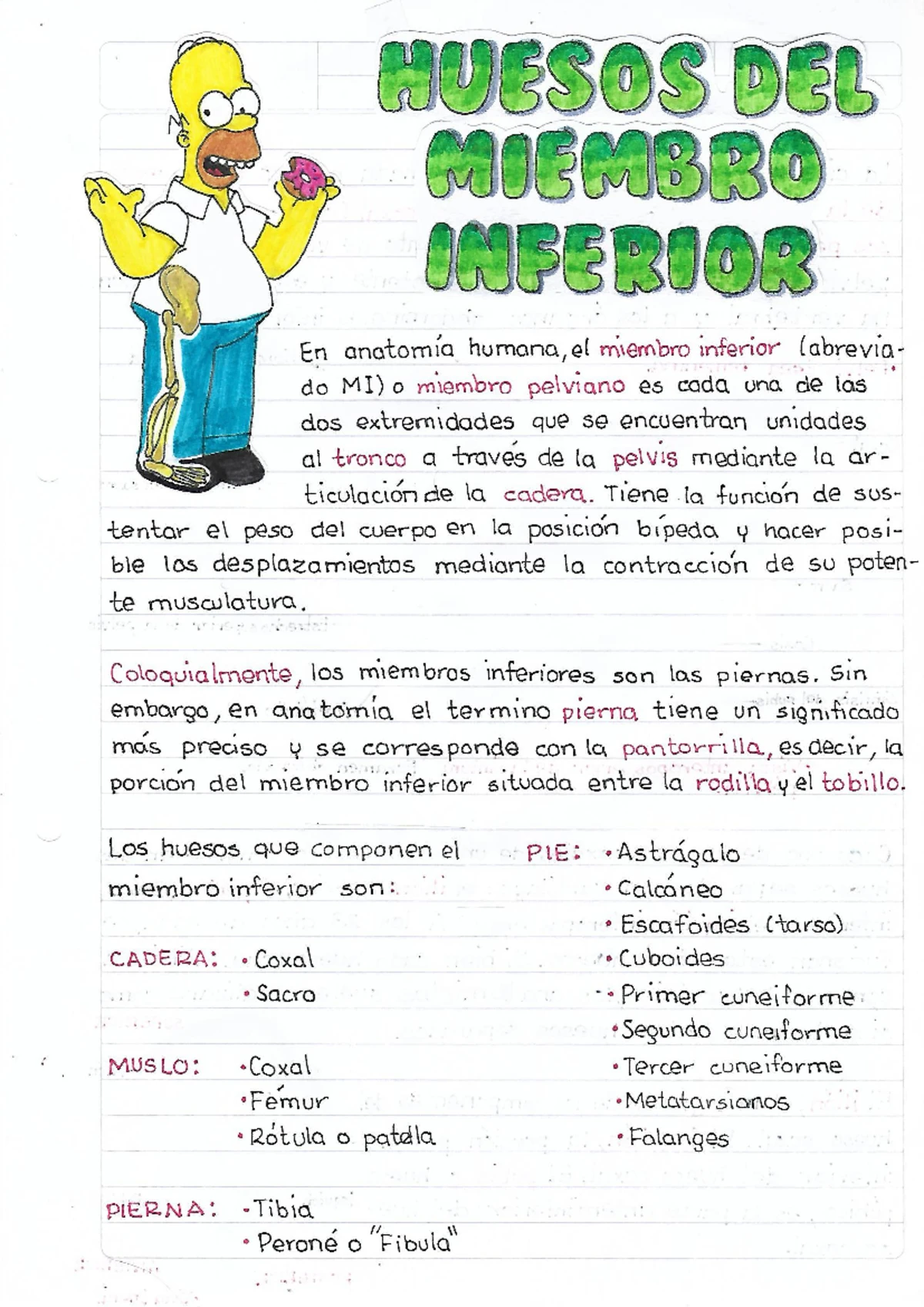 8. FOSA Axilar - APUNTES DE ANATOMI - Fosa Axilar Generalidades: Región ...