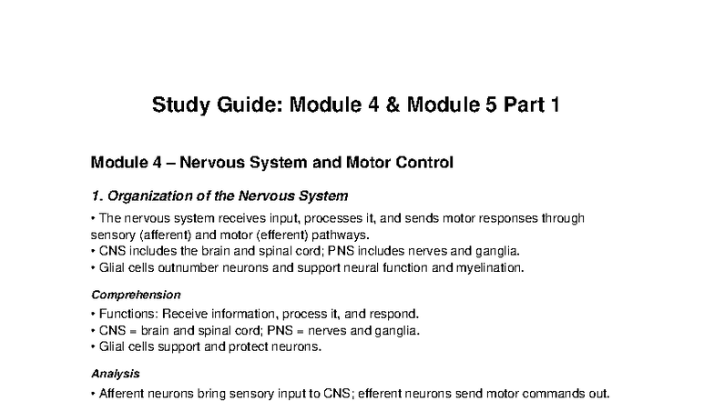 Module 4 & 5 Study Guide: Nervous System & Motor Control Insights - Studocu