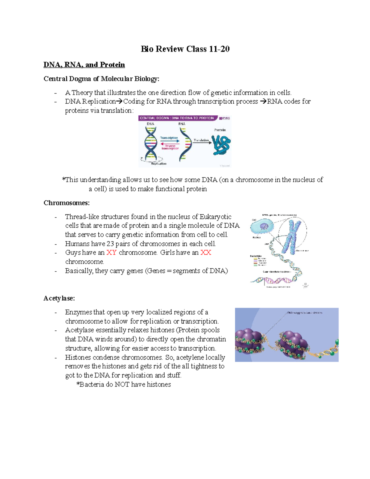Bio Review Class: DNA, Transcription, Translation & Viruses (Classes 11 ...