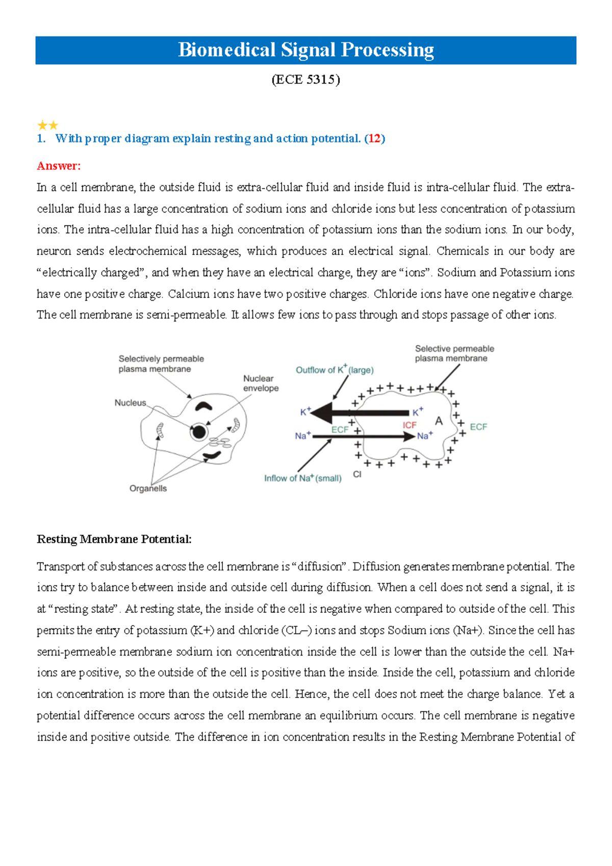 BSP Concepts & Diagrams: ECE 5315 Guide for Action Potentials & ECG ...