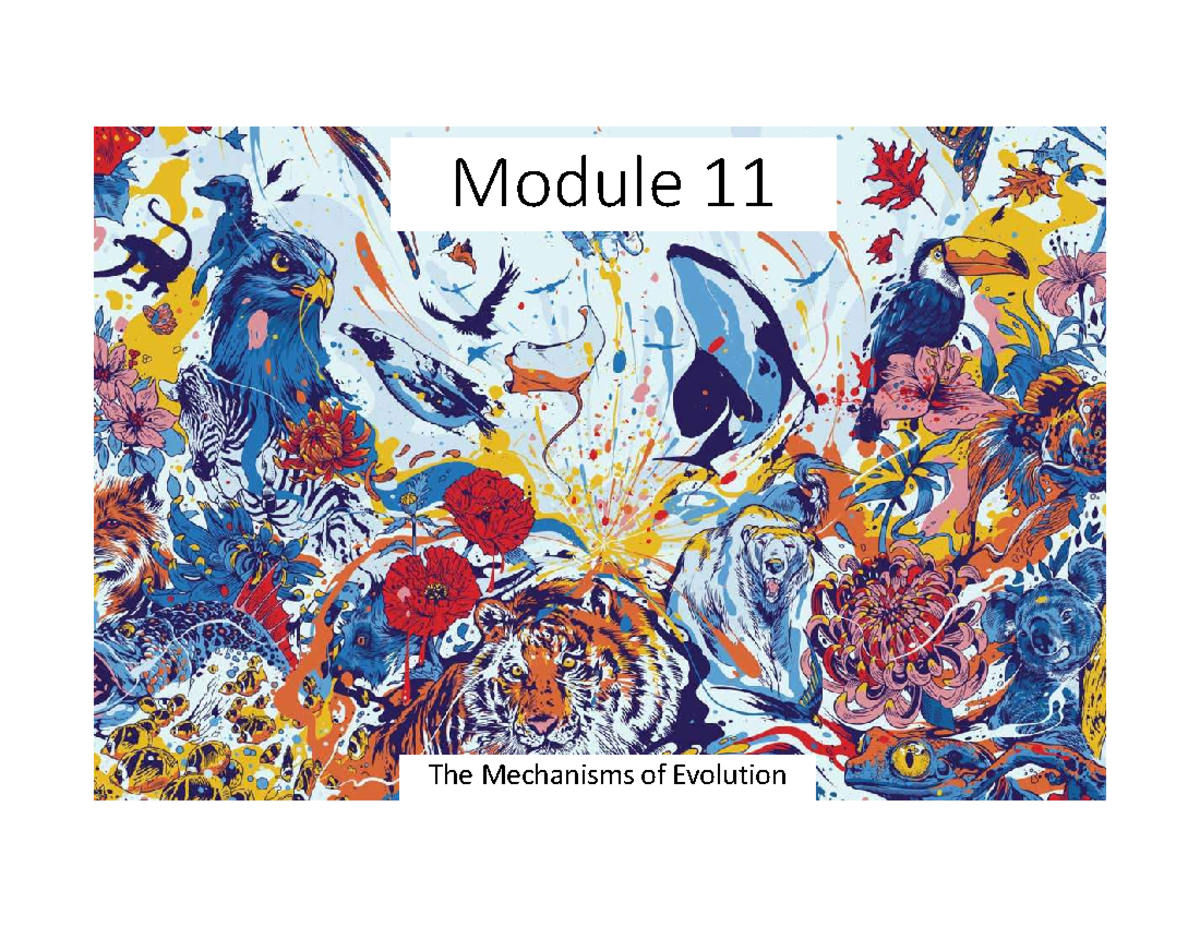 Mechanisms of Evolution: Gene Flow, Drift, and Natural Selection ...