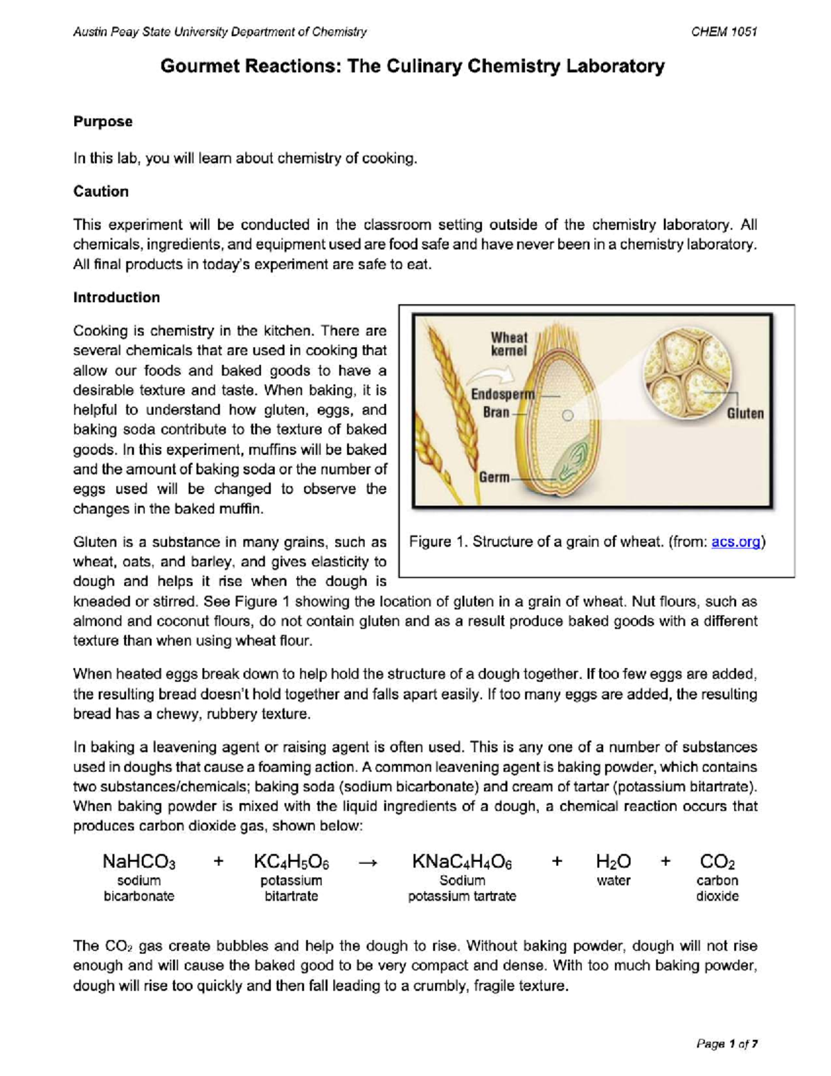 CHEM 1051 - Gourmet Reactions: Culinary Chemistry Lab Overview - Studocu