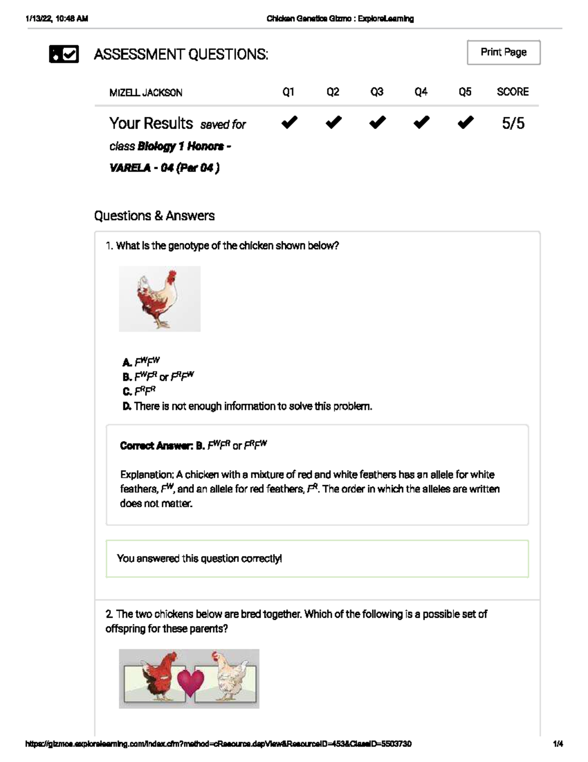 The Gizmo Five Answer Sheet Assignment - 10:48 AM Chicken Genetics ...