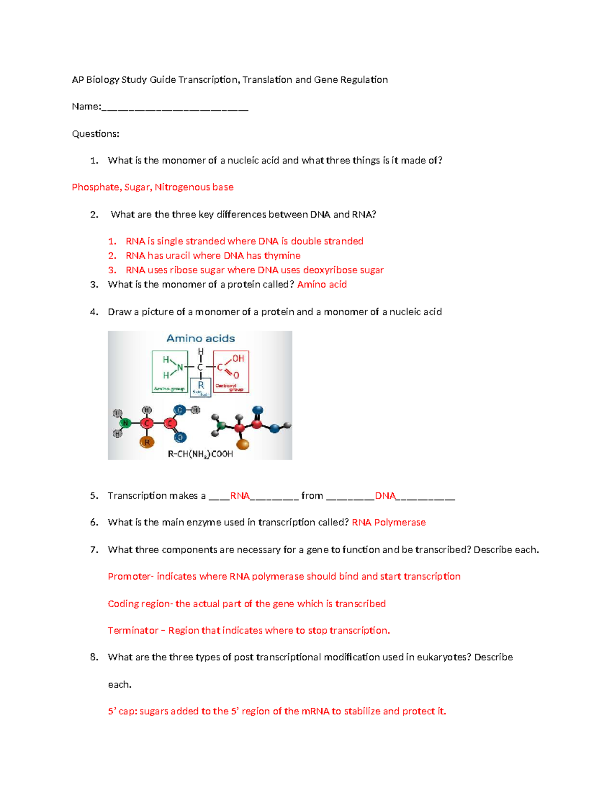 AP Biology Final Exam Study Guide: Transcription, Translation & Gene ...