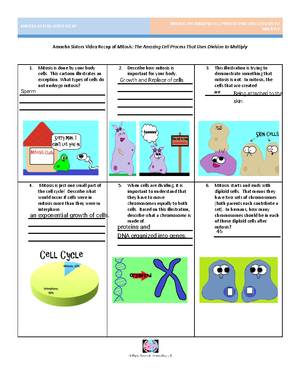 [Solved] How do these locations compare to the anatomical terms ...