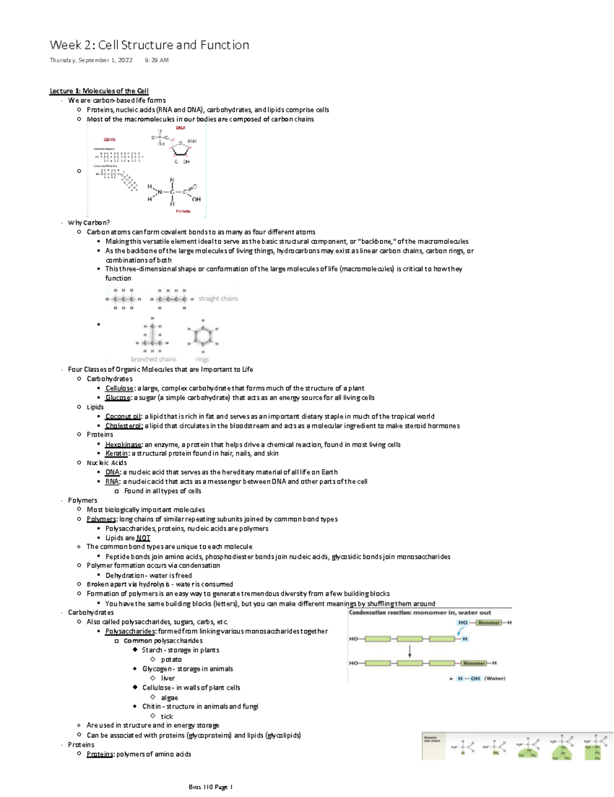 Bios 110 Week 2 pt 1 - Bios 110 Cells and Organism Notes - Lecture 1 ...