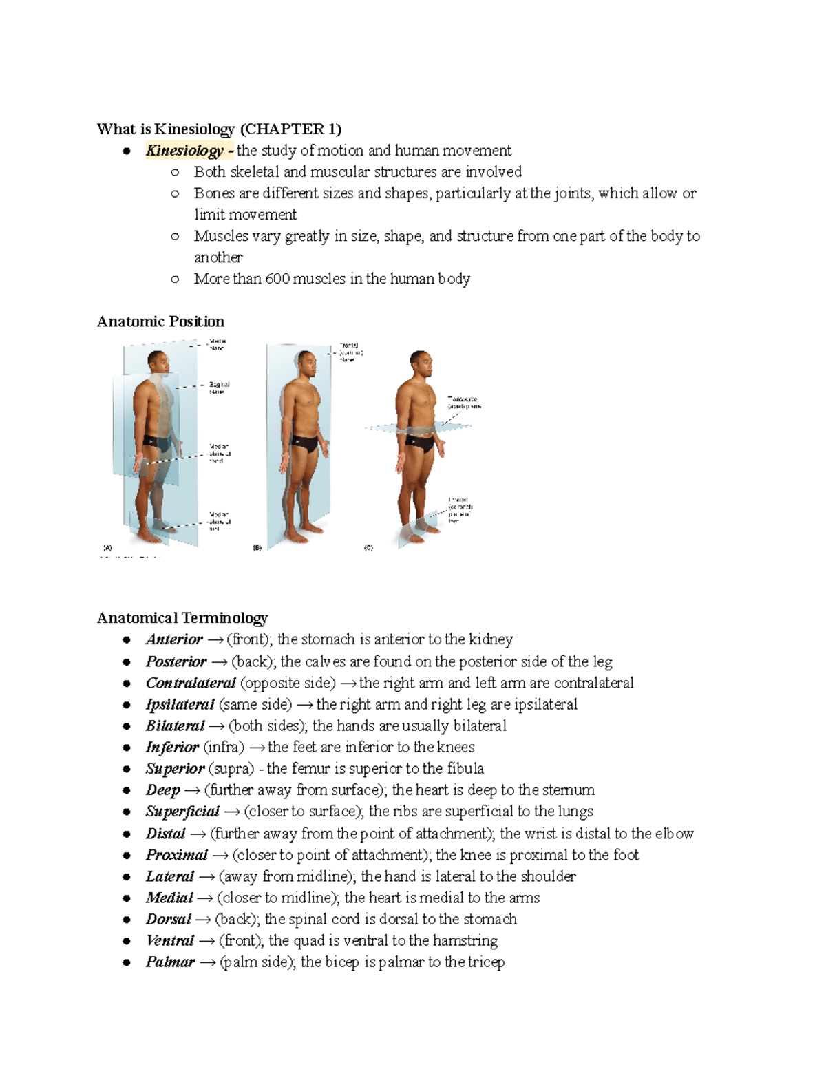 KINES 101: Unit 1 Kinesiology Notes on Motion & Human Movement - Studocu
