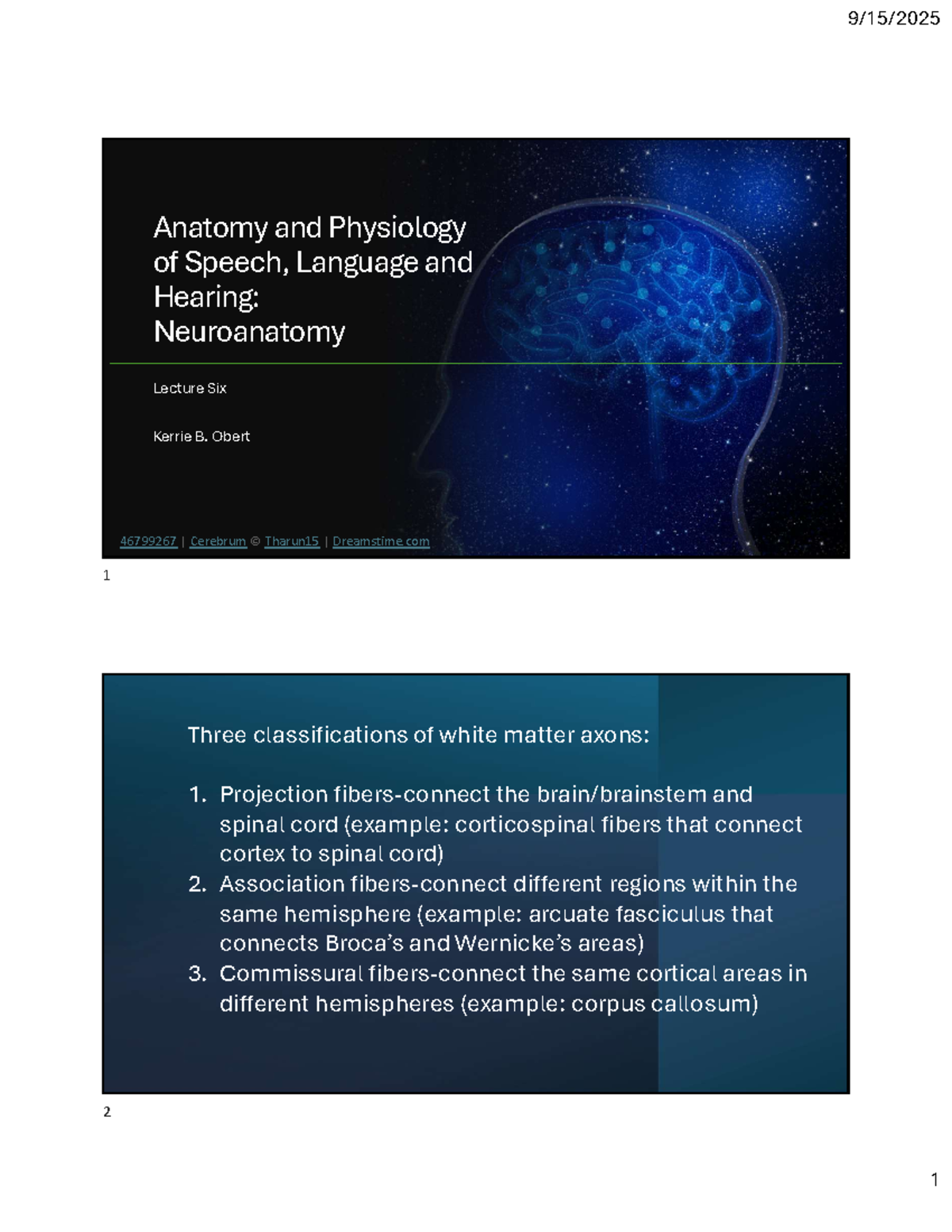 Anatomy and Physiology of Speech, Language, and Hearing: Neuroanatomy ...