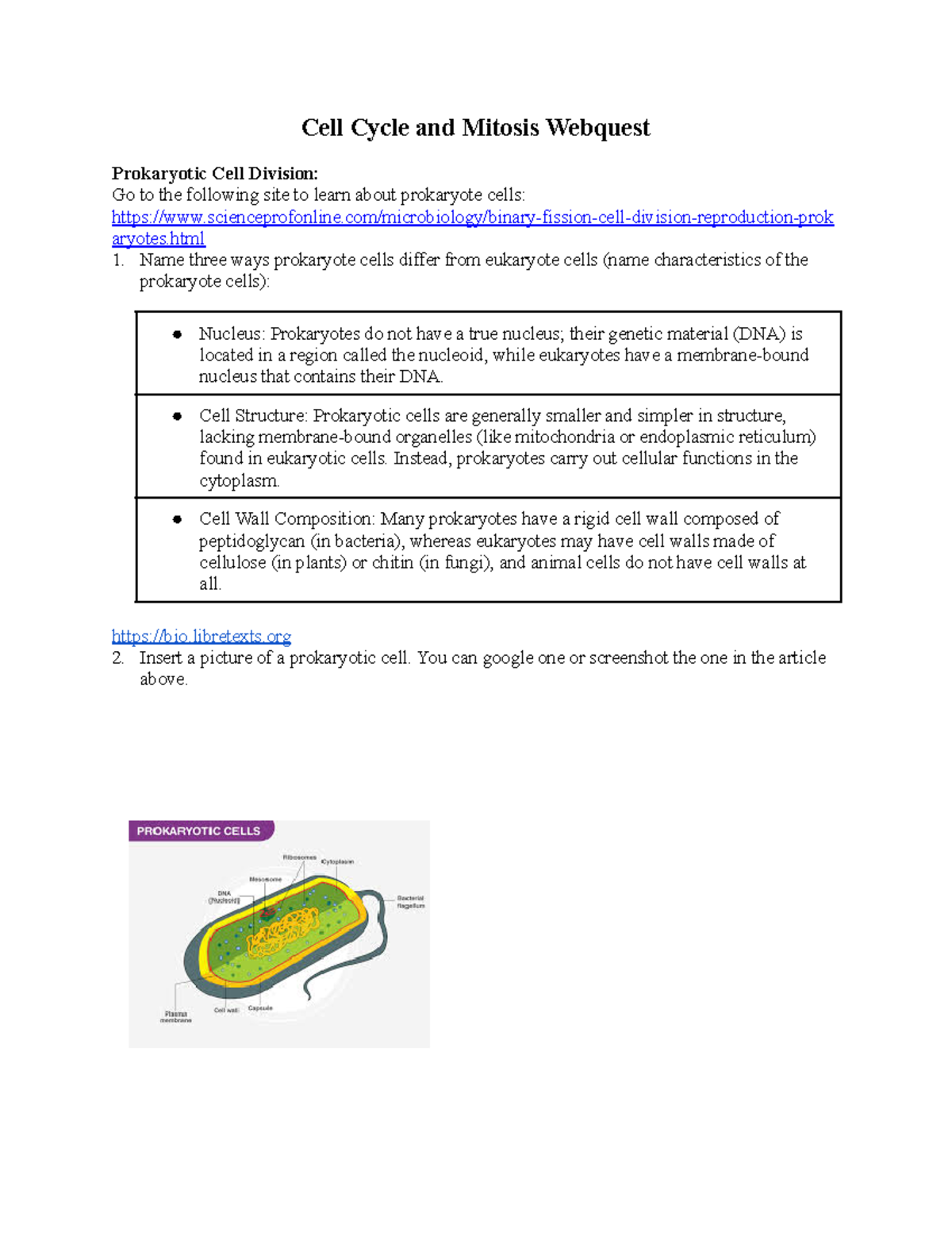Cell Cycle & Mitosis Webquest S24: Understanding Prokaryotes ...