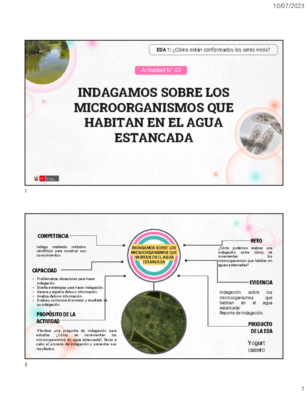 Biología Celular Indagamos Sobre Los Microorganismos Que Habitan En