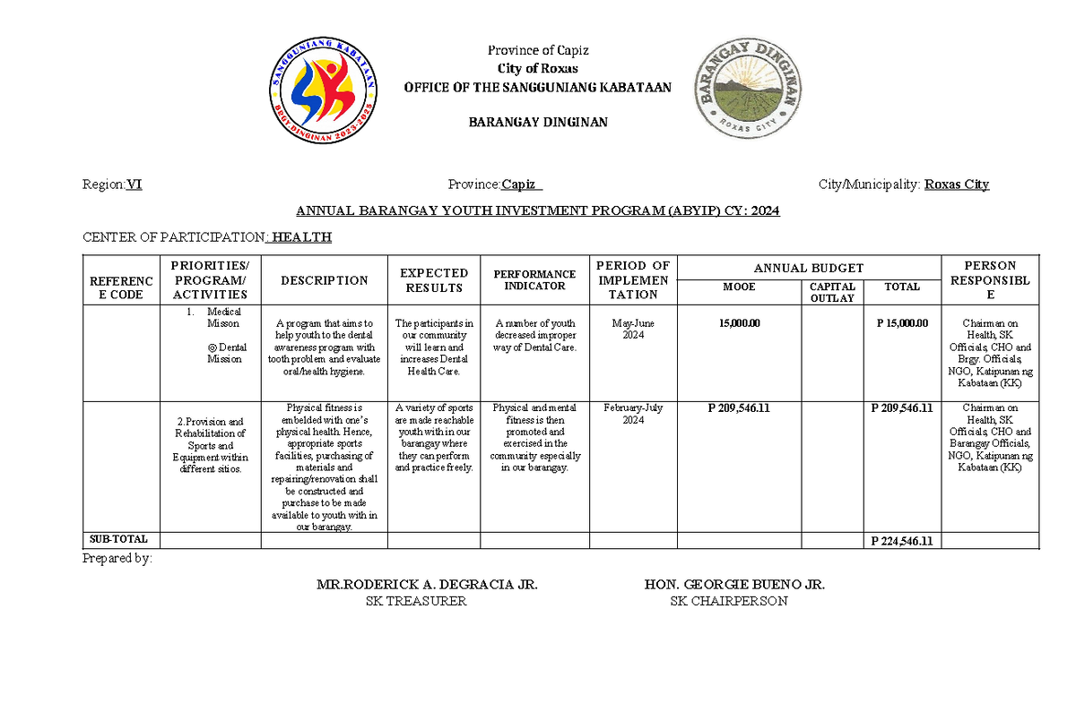 ABYIP 2024: Annual Youth Investment Program for Roxas City - Studocu