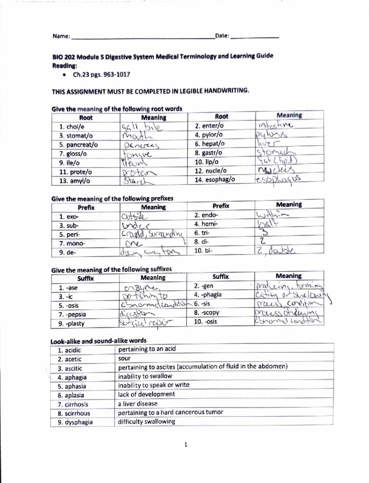 BIO 202 Module 5 Digestive System Medical Terminology Study Guide - Studocu