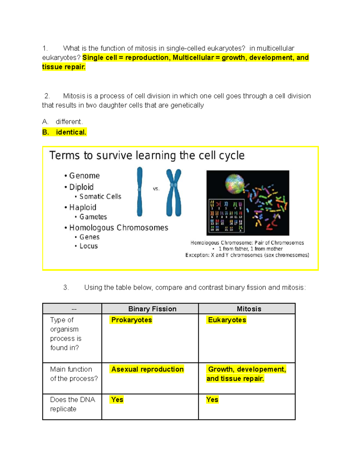 BIO 110 - Overview of Mitosis and Cytokinesis in Eukaryotes - Studocu