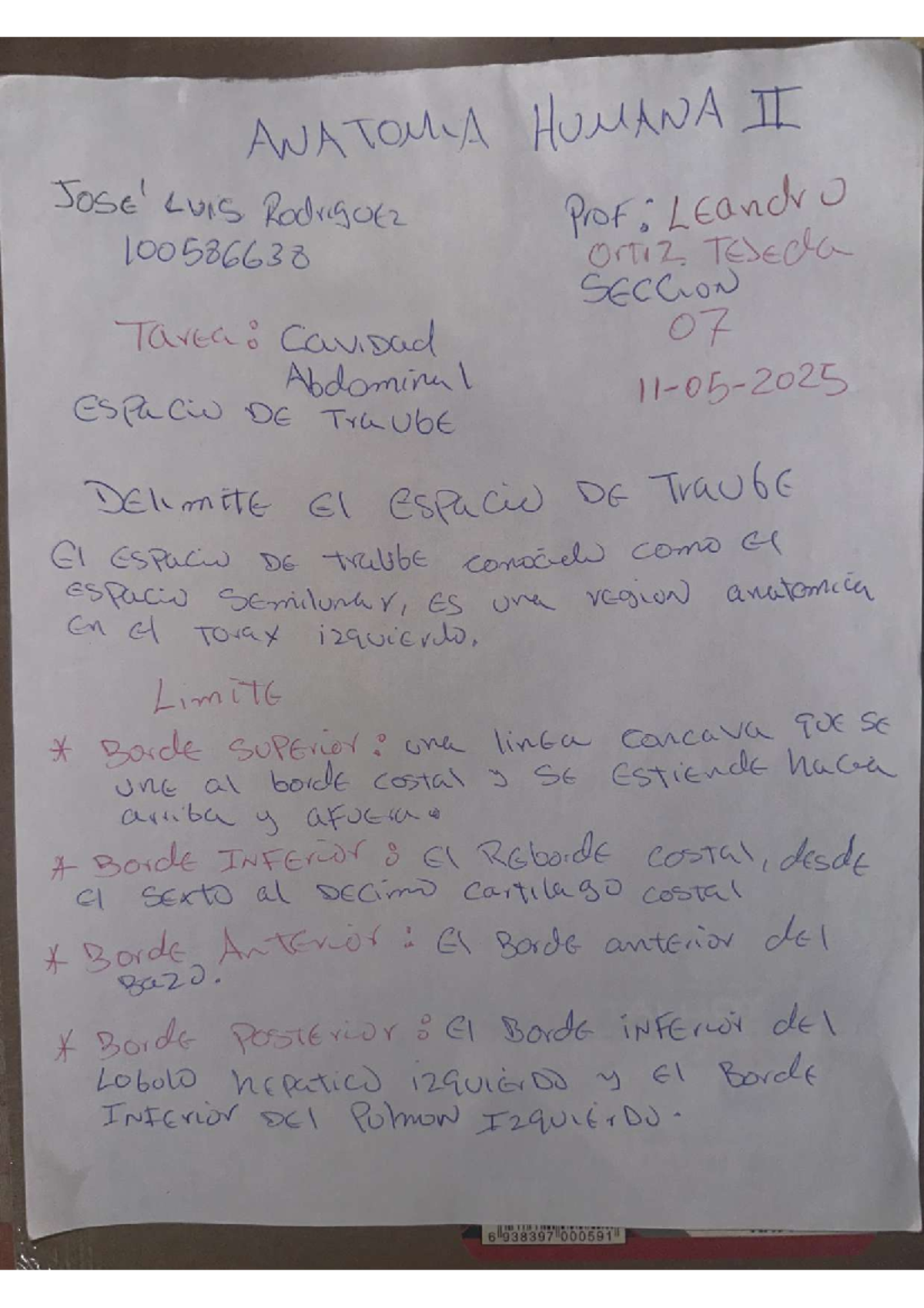 Espacio de Traube - Apuntes ANATOMA HUMANA II 100586638 - Studocu