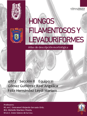 Medio SIM - Uso, fundamento, composición e interpretación de resultados ...