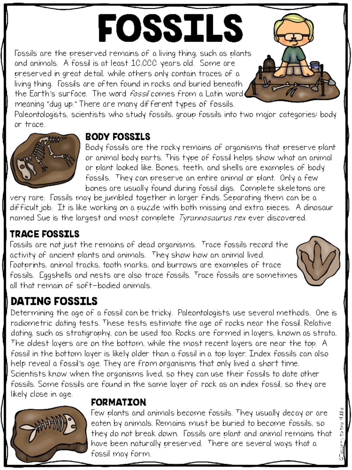 1 - Fossils Reading Comprehension Worksheet for Earth Science - Studocu