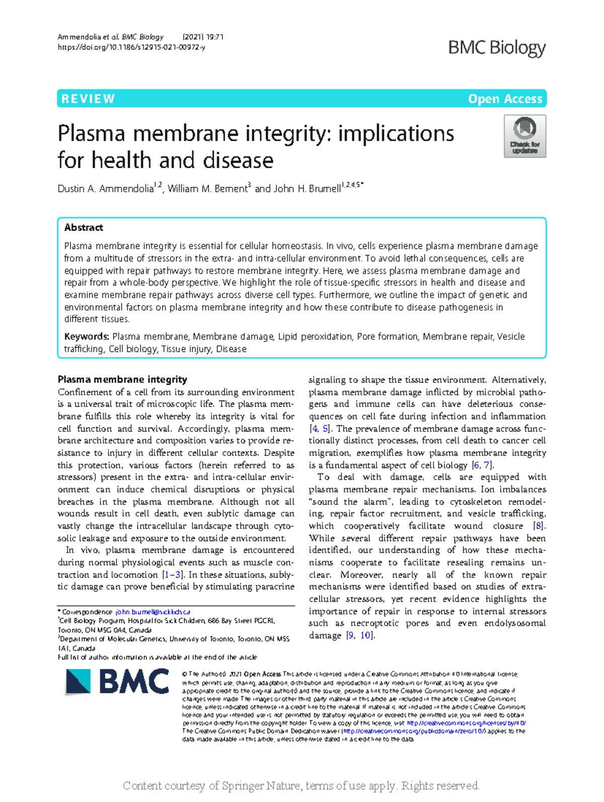 Plasma Membrane Integrity: Health Implications and Repair Mechanisms ...