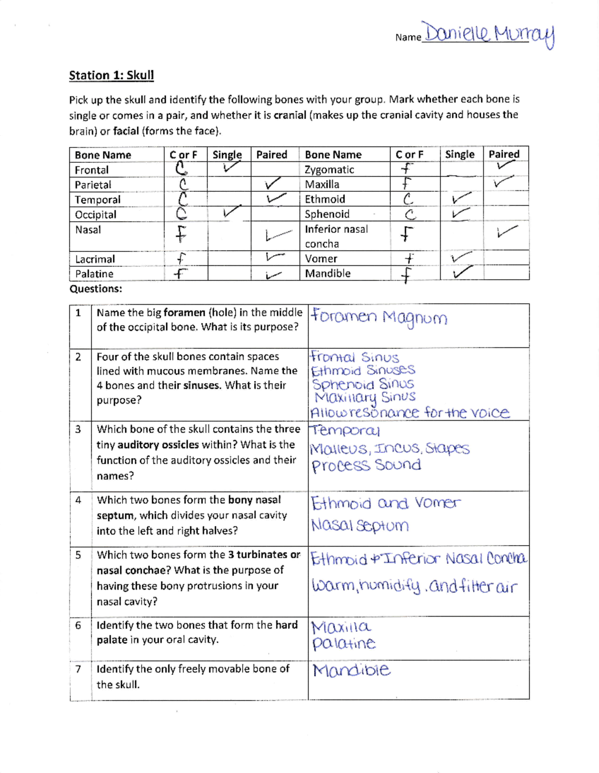 Anatomy & Physiology Lab 1: Skull Bones Identification and Functions ...