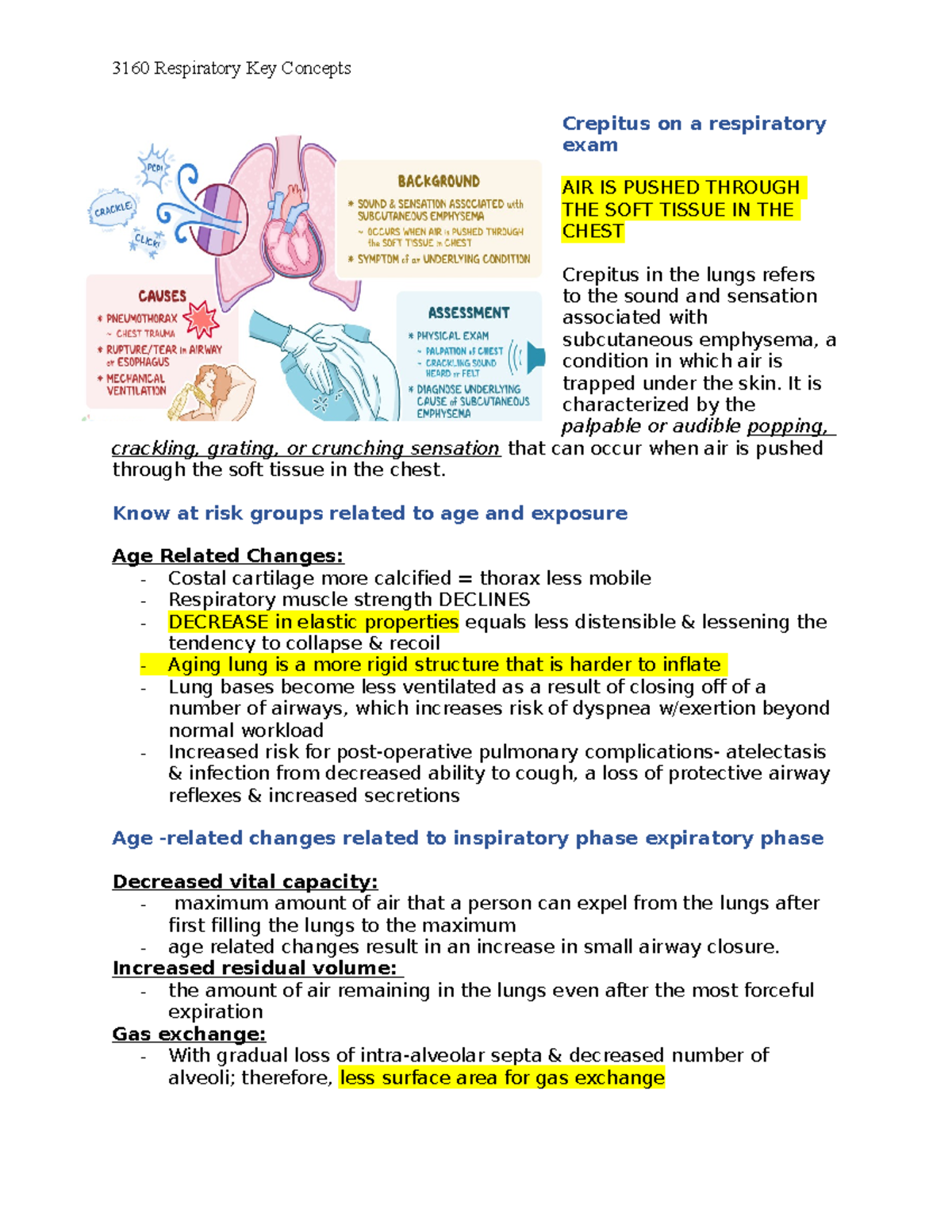 3160 Respiratory Exam: Key Concepts and Age-Related Changes - Studocu