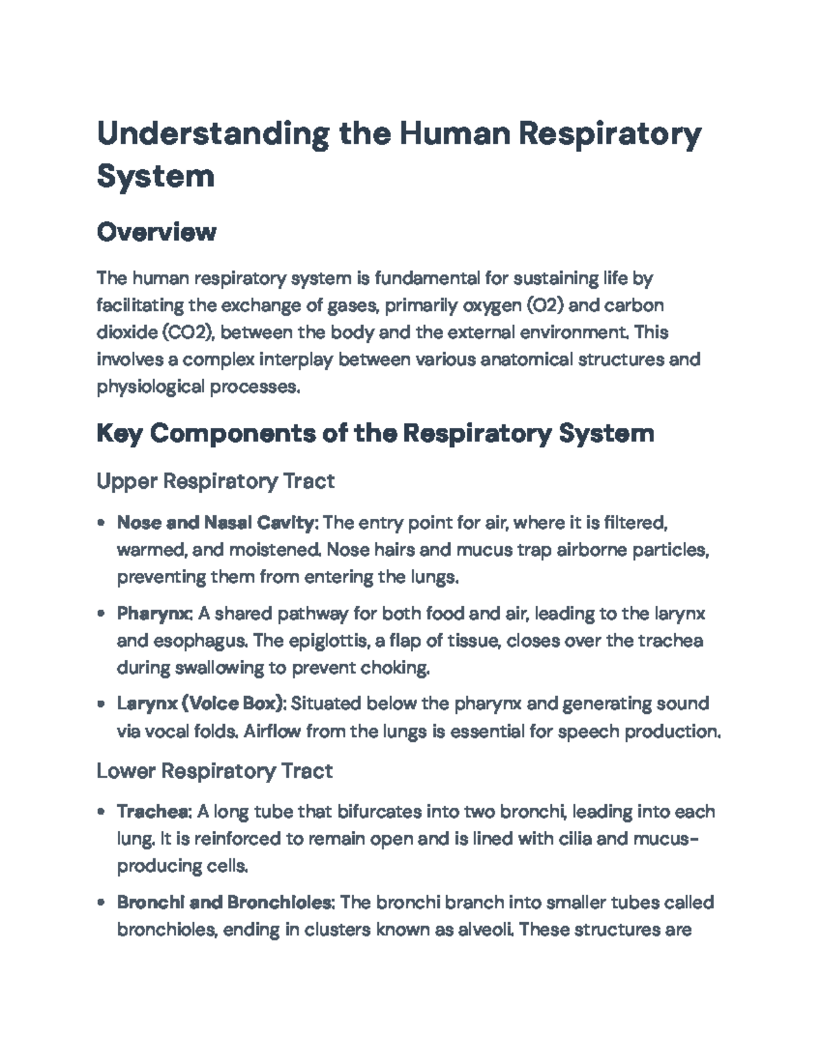 Understanding the Human Respiratory System: Anatomy & Physiology ...