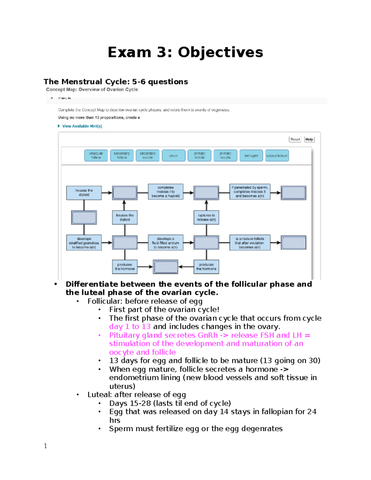 504 Exam 3 Study Guide: Menstrual Cycle & STIs Overview - Studocu