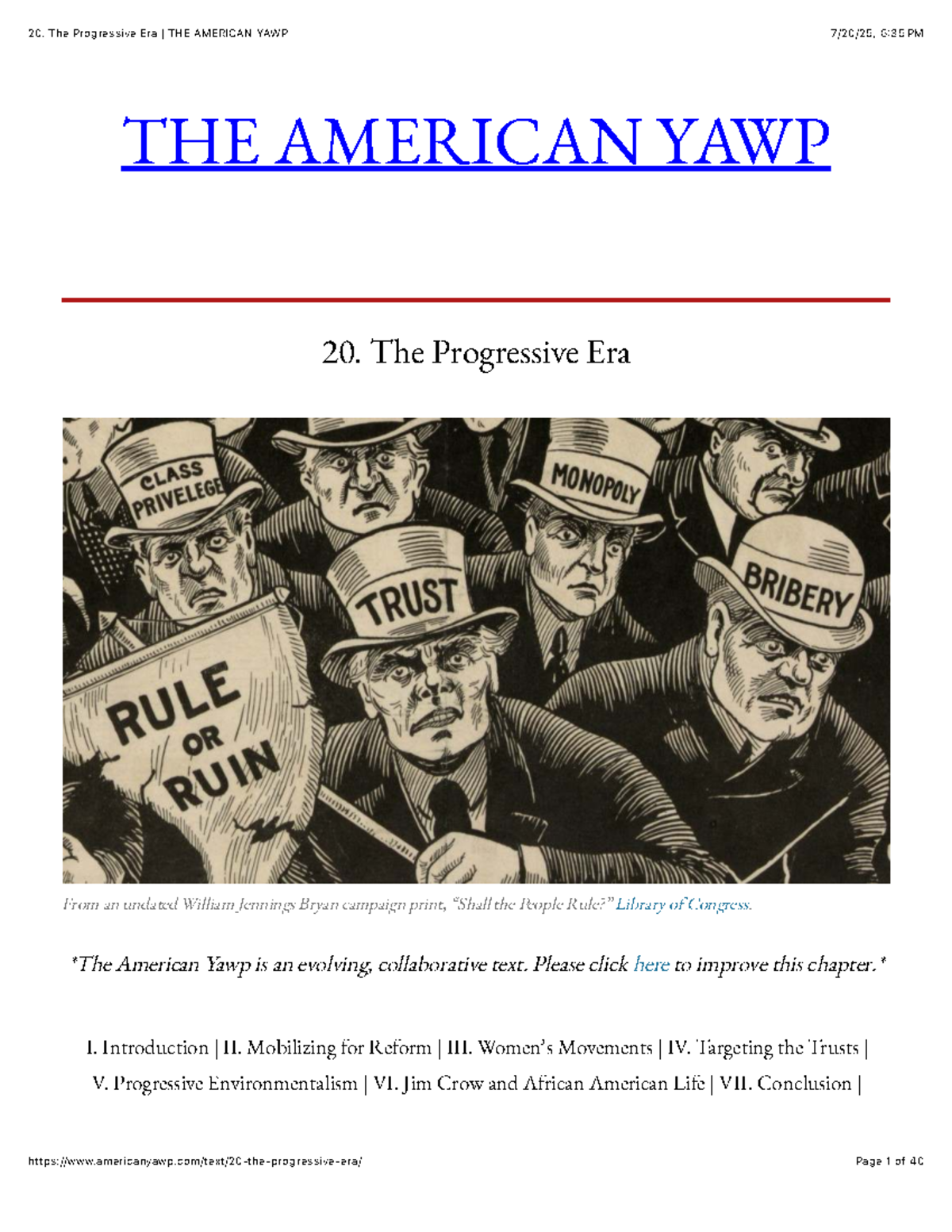 The Progressive Era: Movements and Reforms in American Society (HIST 20 ...