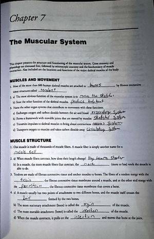 Module 10 Quiz- The Urinary System - Chapter 10 Quiz- The Urinary ...