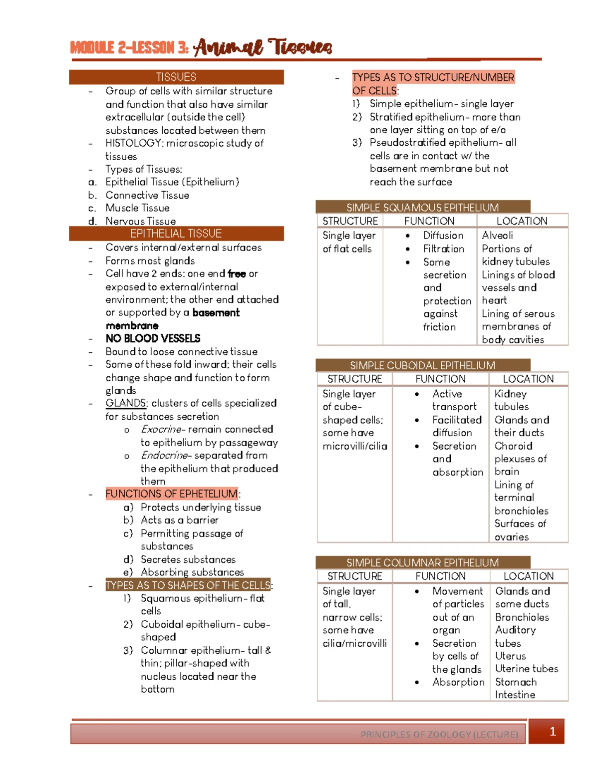 Integumentary System of the Frog: Structure, Functions, and Key ...