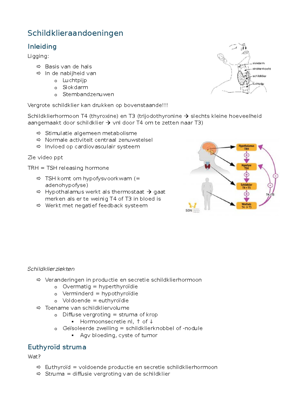 Schildklieraandoeningen: Inzicht in Functie en Ziekten van de ...