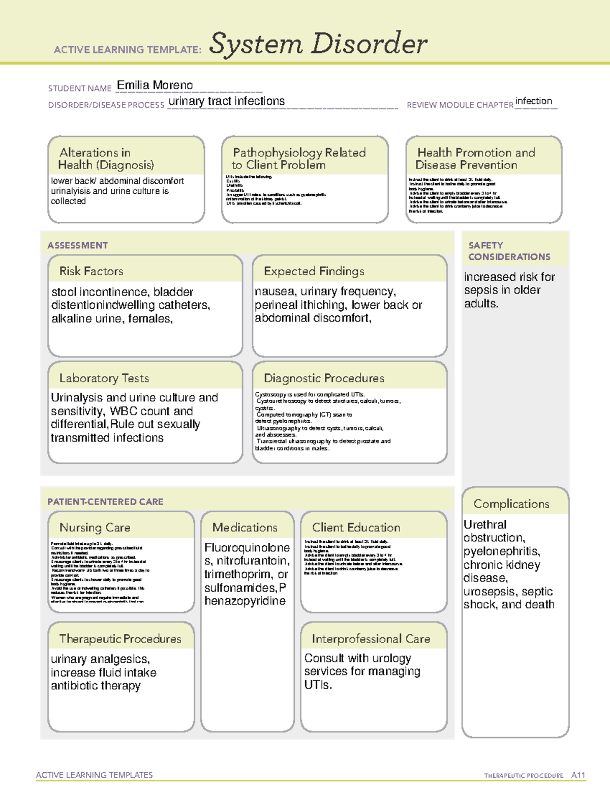 Active learning template infection - ACTIVE LEARNING TEMPLATES ...