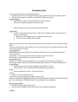 Anatomical positions - TERM DEFINITION EXAMPLE Superior (cranial ...