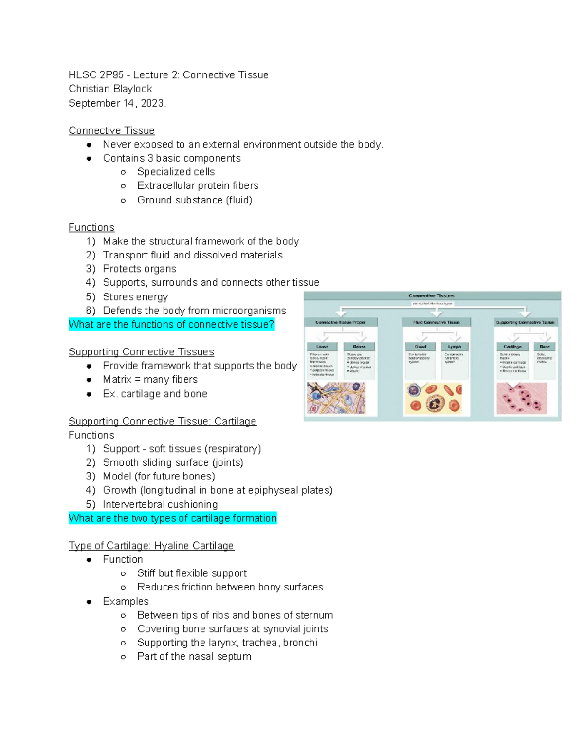 HLSC 2P95 - Lecture 2: Overview of Connective Tissue Functions and ...