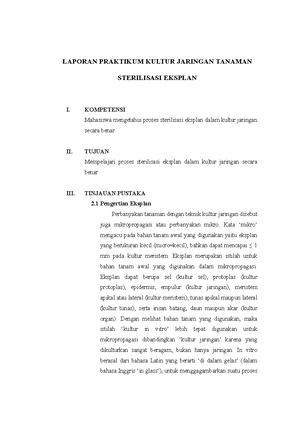 Kultur Kalus - LAPORAN PRAKTIKUM KULTUR JARINGAN TANAMAN TEKNIK KULTUR ...