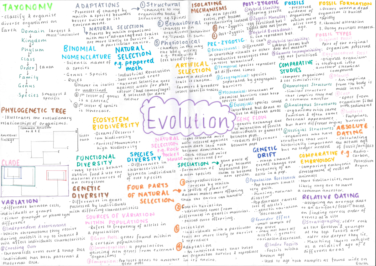 Year 10 Science: Biology Evolution Mind Map Overview - Studocu