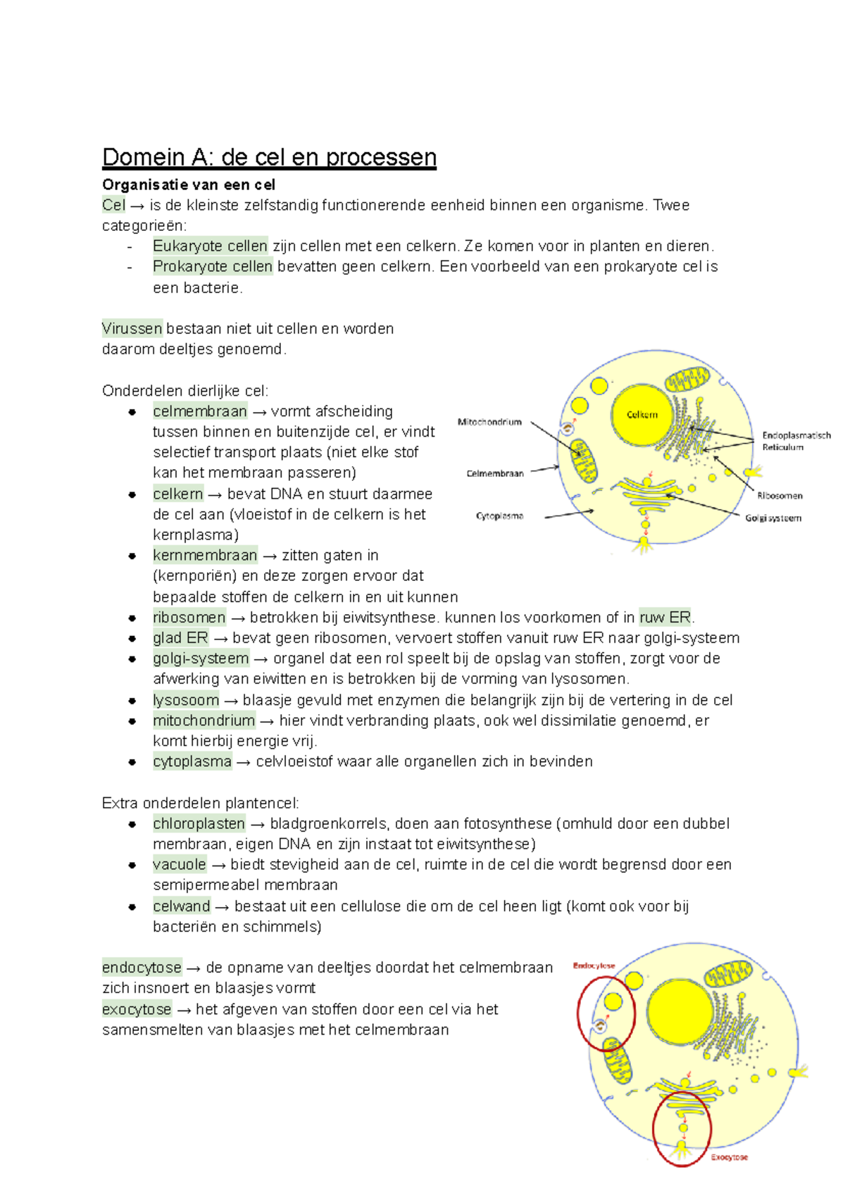 CSE Biologie: Domein A - Celstructuur en Genetische Processen - Studeersnel