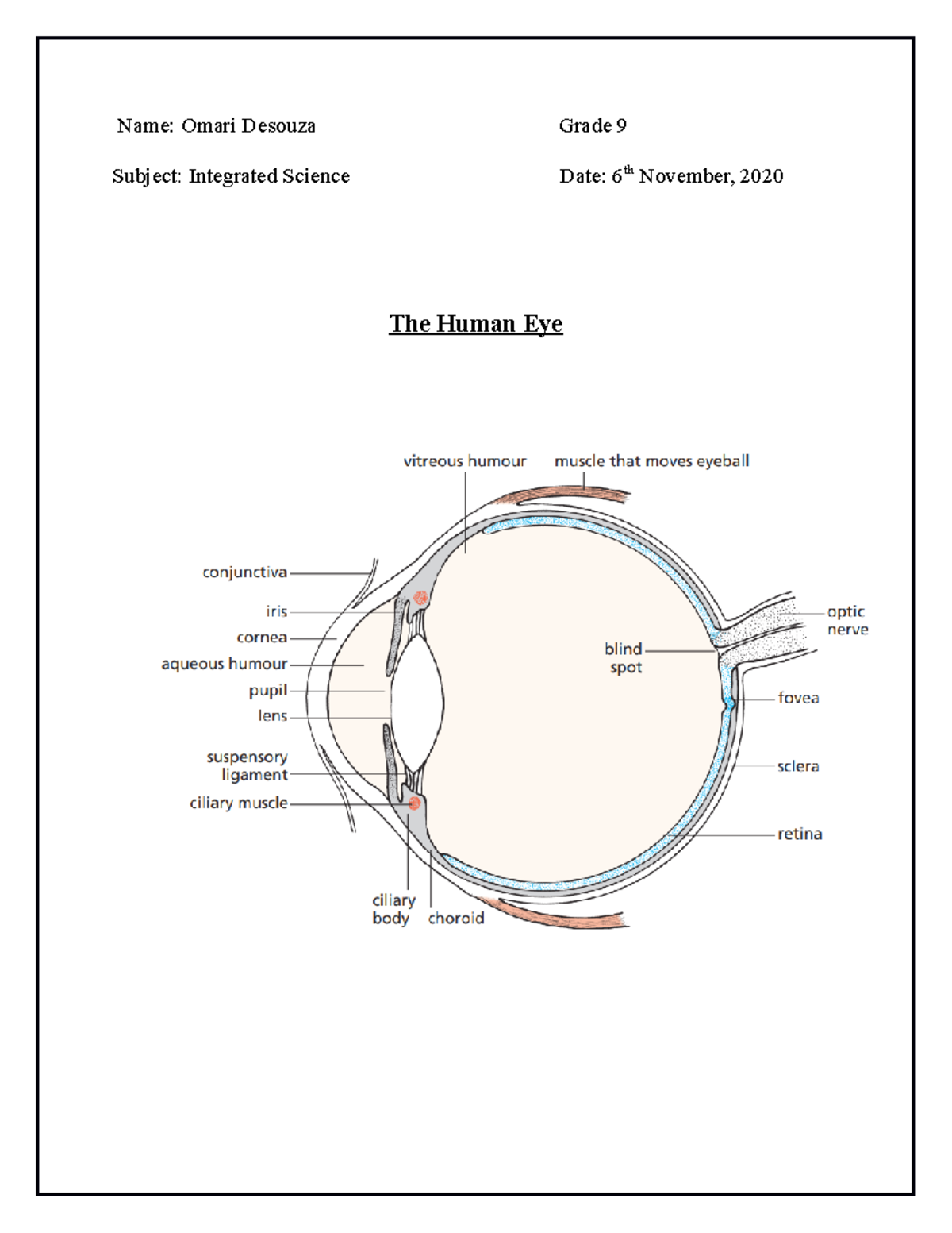 Integrated Science 9: Structure and Functions of the Human Eye - Studocu
