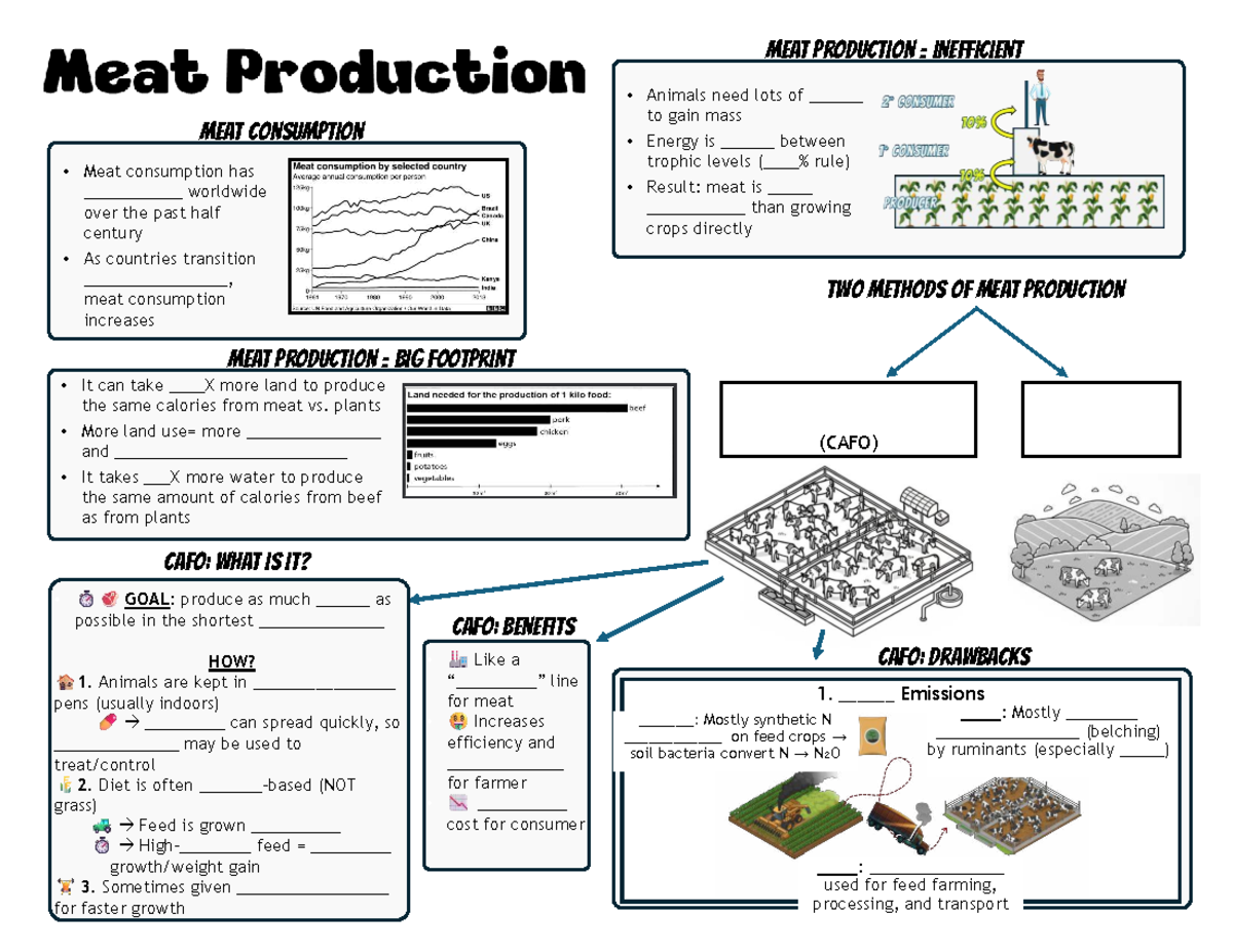 Meat Production (Course Code) Guided Notes: Efficiency & Impact - Studocu