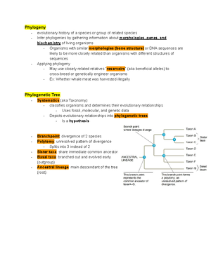 Biology 101: Understanding Unregulated Population Growth Dynamics ...