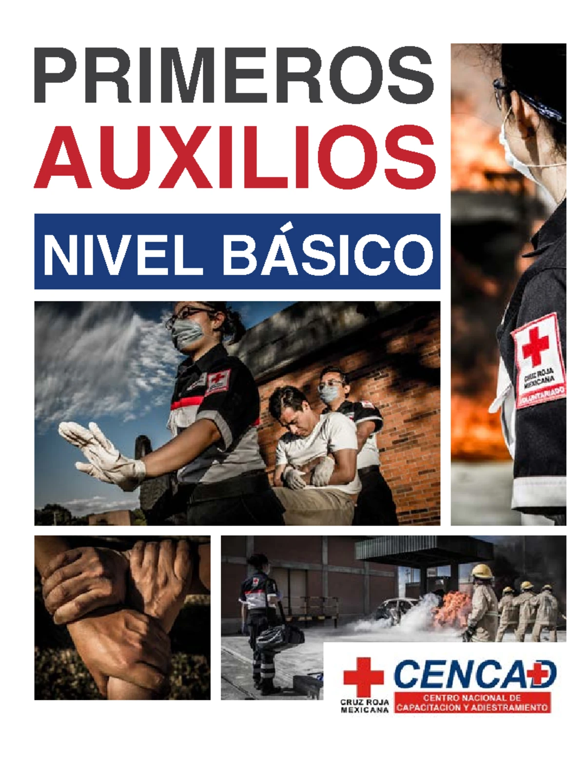 Manual Pasbv 2023 - PRIMEROS AUXILIOS - MANUAL SOPORTE BÁSICO DE VIDA Y PRIMEROS AUXILIOS ...