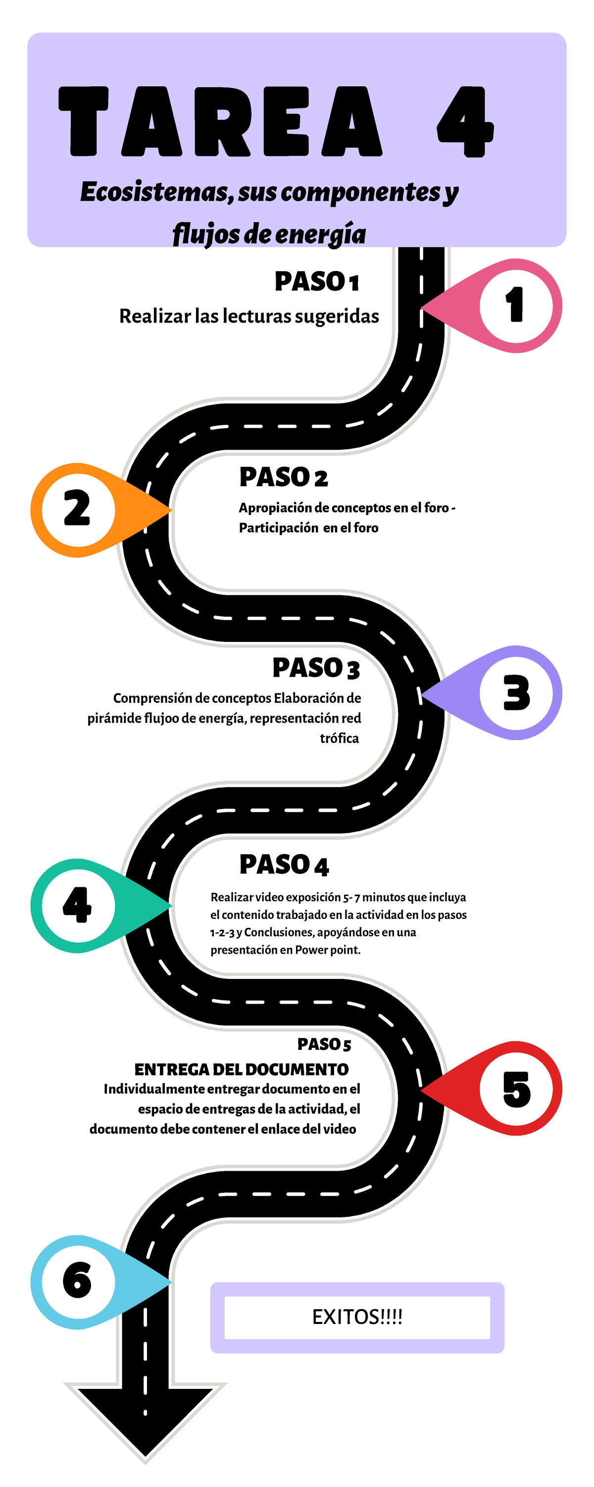 Tarea 4 - adsa - EXITOS!!!! Realizar las lecturas sugeridas PASO 1 ...