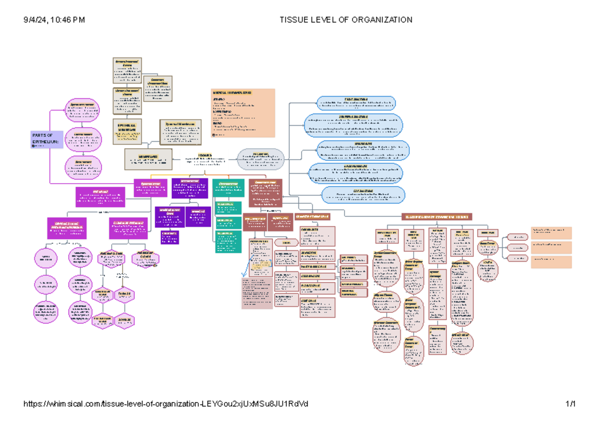 Tissue Level of Organization - Mind Map Overview - Studocu