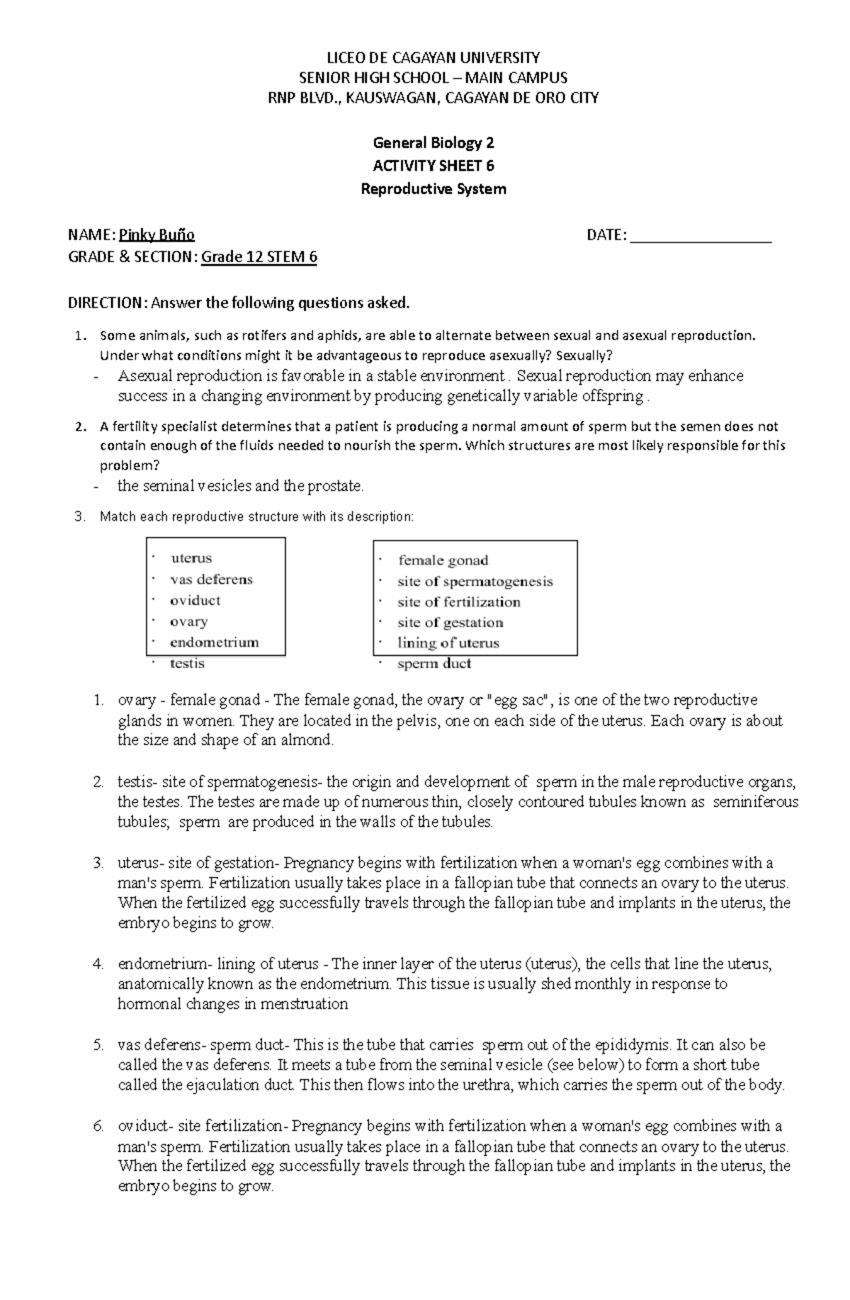 General Bio 2: Activity Sheet 6 - Human Reproductive System - Studocu