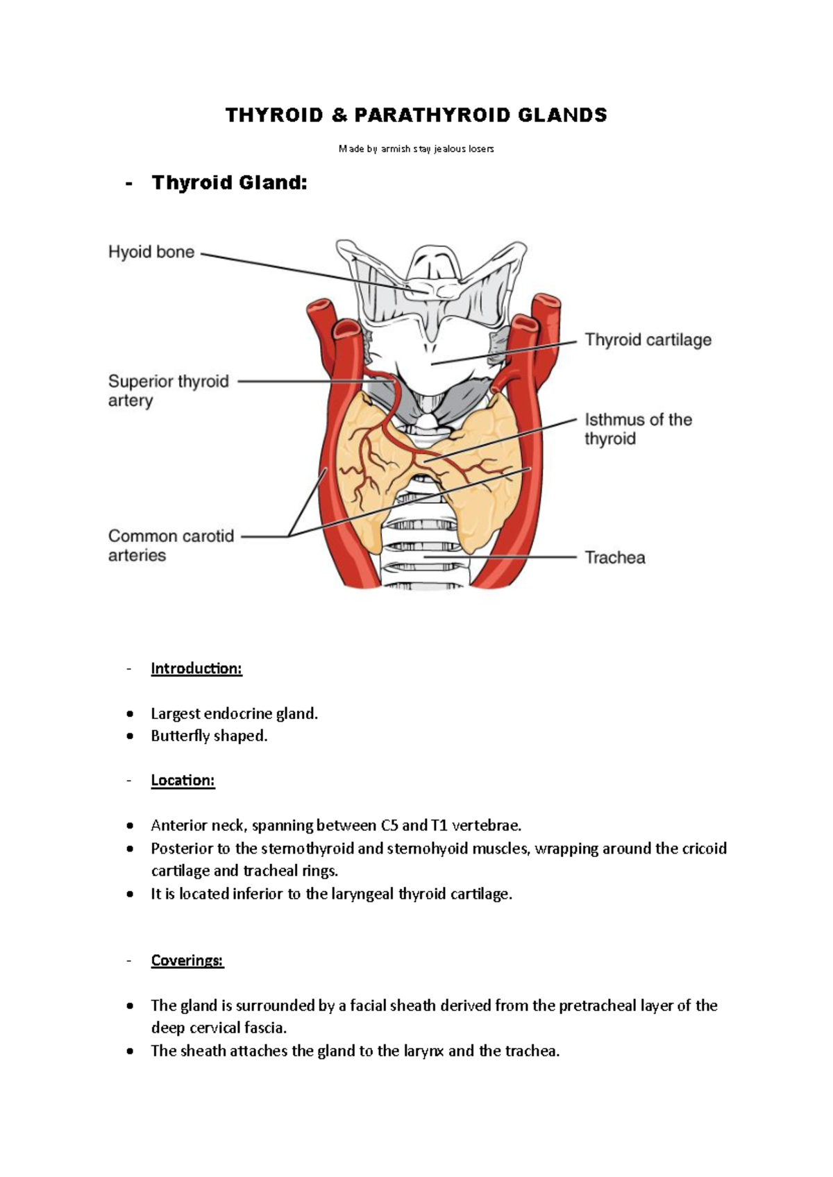 Thyroid & Parathyroid Glands Overview - Anatomy & Functions Notes - Studocu